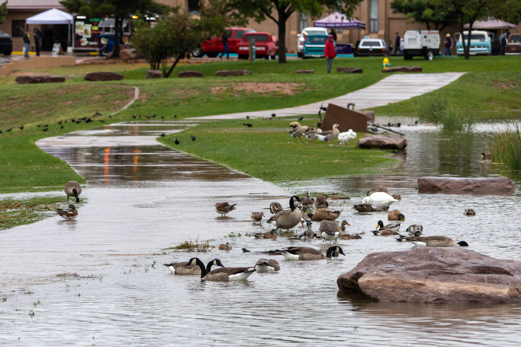 Payson finally returns to normal rainfall – however briefly | News ...