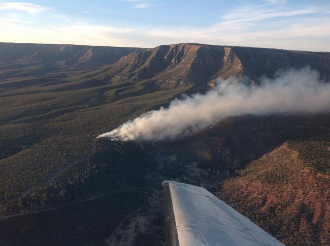 Knoll Fire grows to 60 acres | Local News | paysonroundup.com