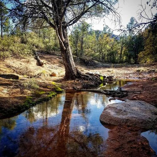 Friends, loss and the Boulder Loop Trail | 260 Connection ...