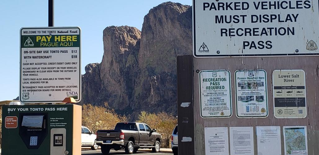 Give the Salt River a try | 260 Connection | paysonroundup.com