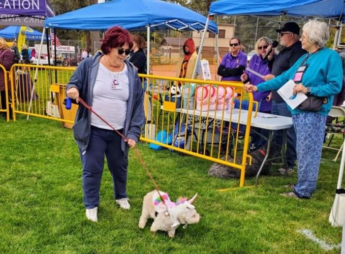 Pups in the Pines promises tons of fun for furry friends | Events ...