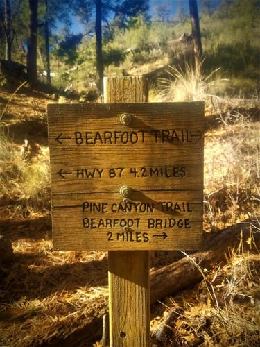 A slice of humble pie atop the Mogollon Rim | 260 Connection ...