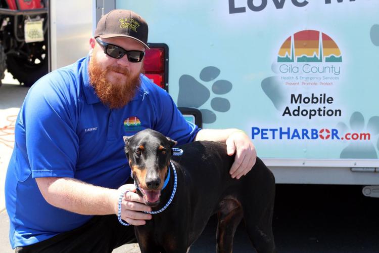 Applause for Gila County Animal Control Officers | Gila County ...