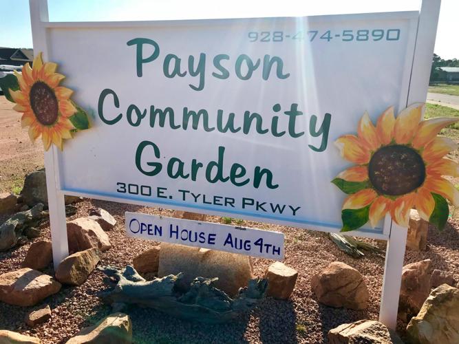 Who keeps the Payson Community Garden blooming? | Local News ...