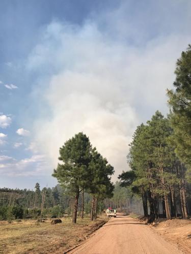 Gentry Fire on Rim now 60 percent contained | Forest Management ...