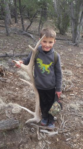 Antler hunting: A family affair | 260 Connection | paysonroundup.com