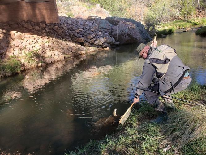 Water Bobber Trout Fishing | Reviewmotors.co