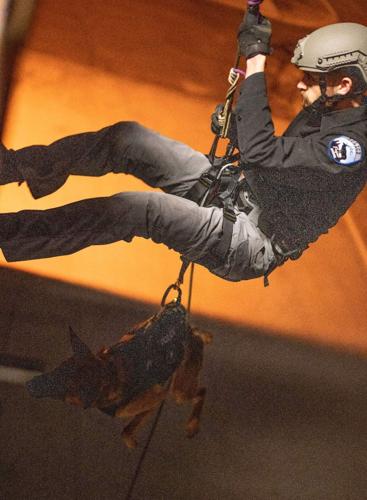 Payson K9 and handler take fifth at high-intensity tactical training ...