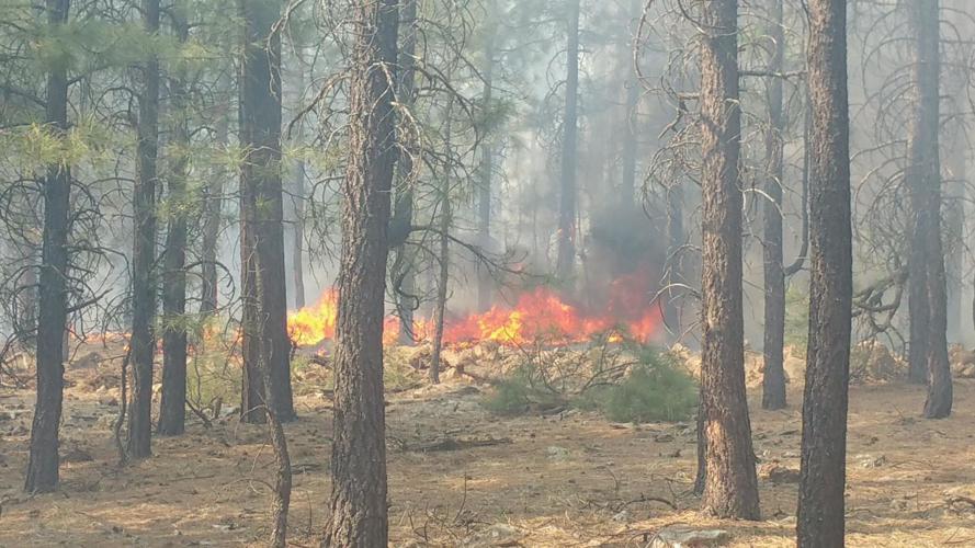 Wildcat Fire near Forest Lakes burns 11 acres but under control ...