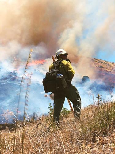 Wildfire season lurches along | Forest Closures Fire Updates ...