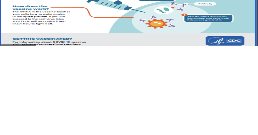 The basics and history of mRNA vaccine technology | Local News ...