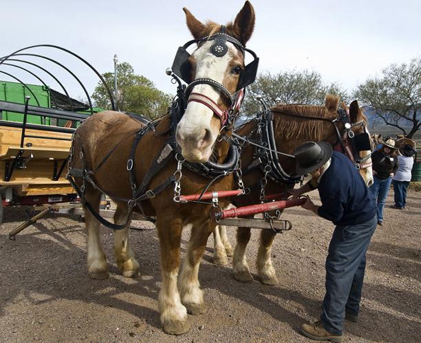 Back to the Future... | | paysonroundup.com