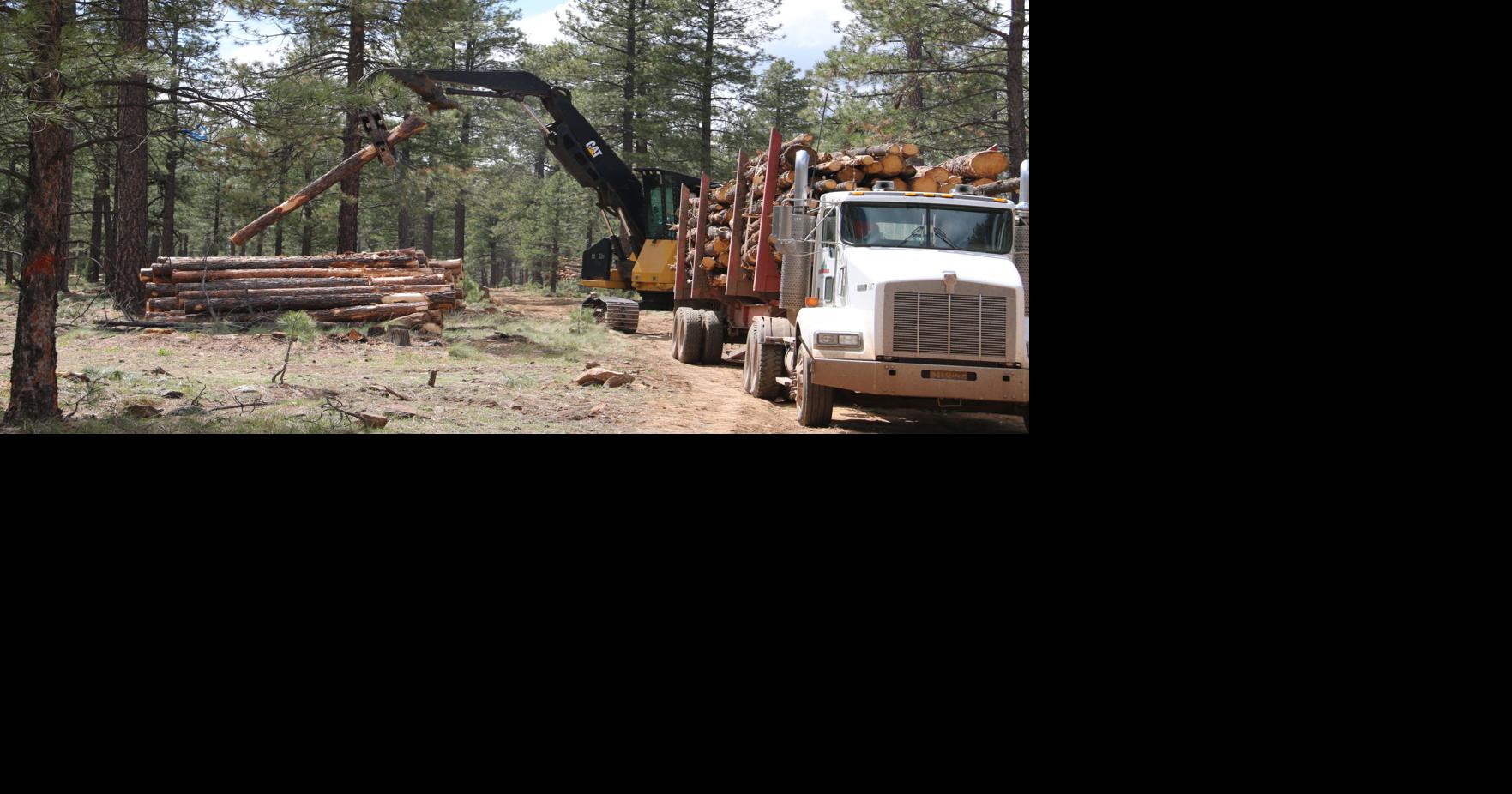 Forest Service planning fuel break maintenance around Payson | Local ...