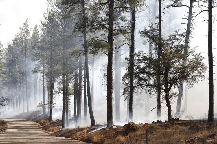 Prescribed fires send up billows of smoke | Forest Closures Fire ...