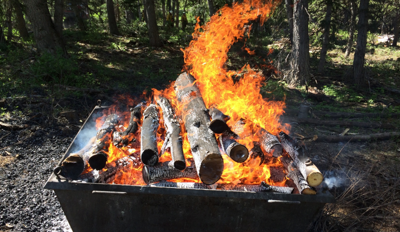 Biochar demonstration at Pine brush pit April 25 | Education ...