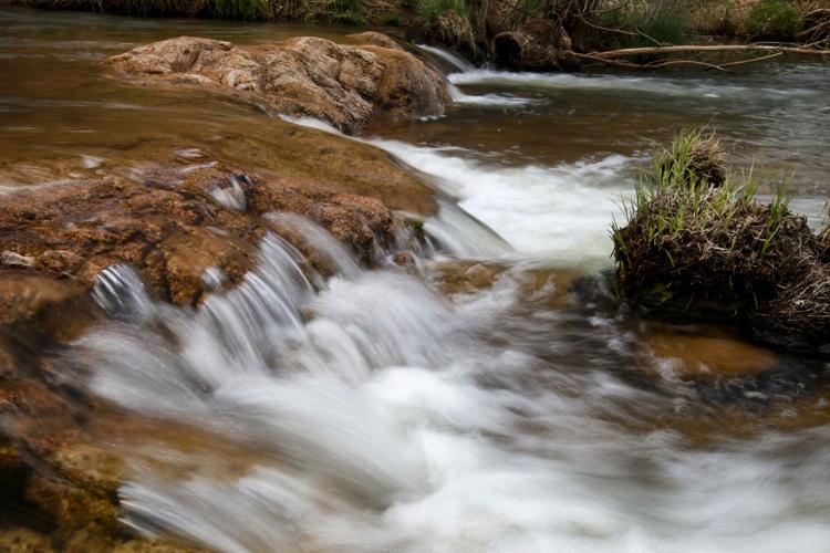 Loki and me and a thousand-year walk | 260 Connection | paysonroundup.com