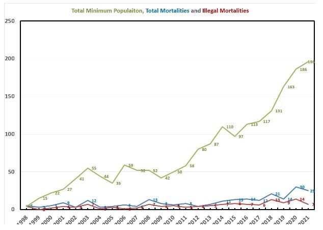 New lawsuit seeks to overturn federal Mexican gray wolf recovery plan ...