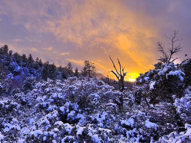 Winter sets in | 260 Connection | paysonroundup.com
