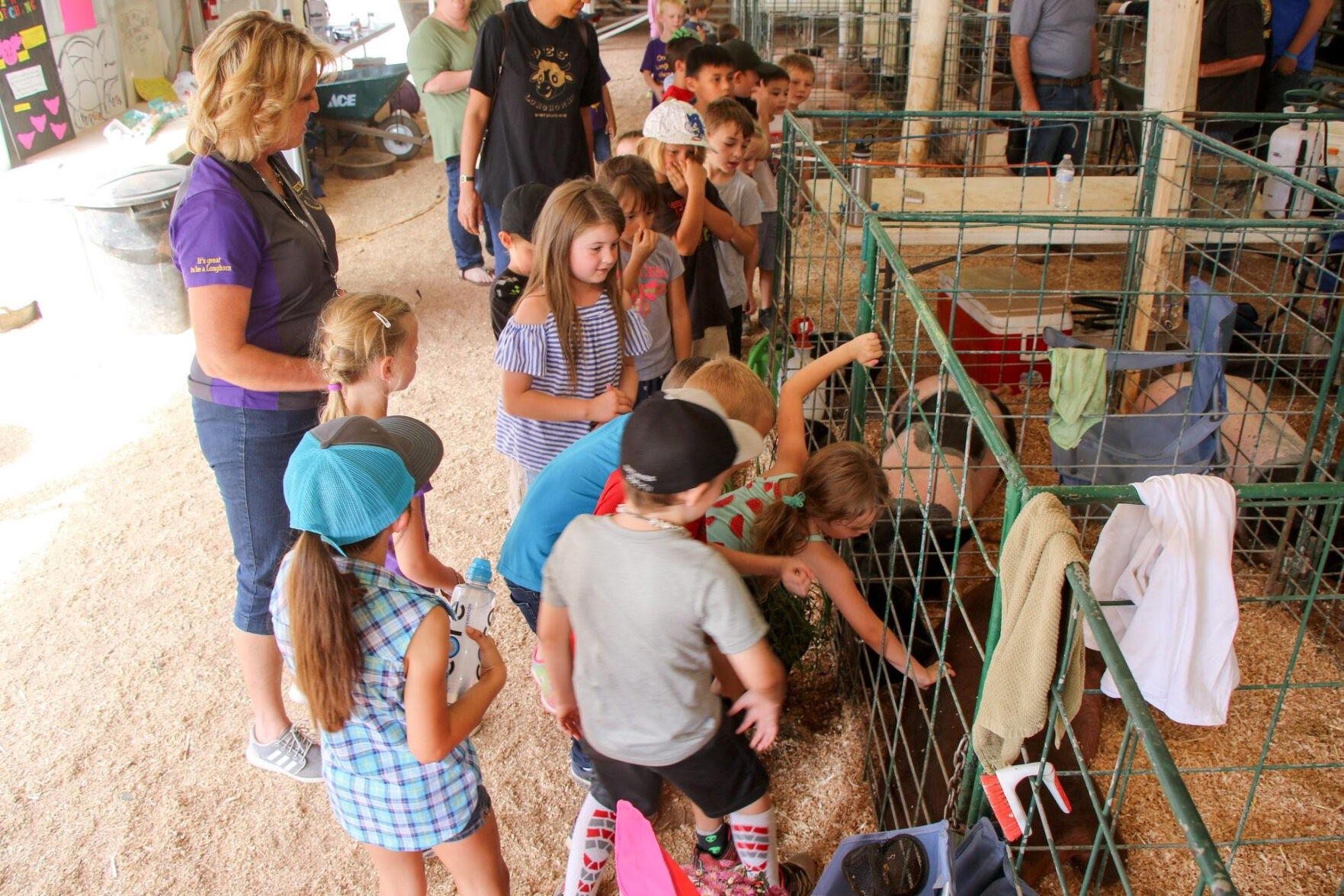 County fair combines with Fiddle Fest for twice the fun | News ...