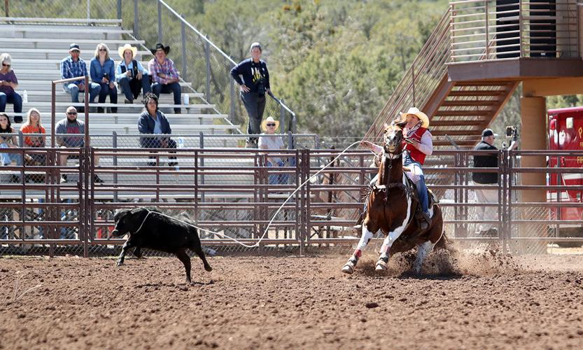 New rodeo stampedes into Payson | Covid-19 | paysonroundup.com