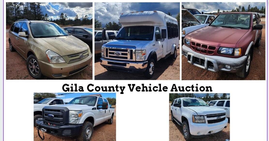 Gila County vehicle auction | Gila County | paysonroundup.com