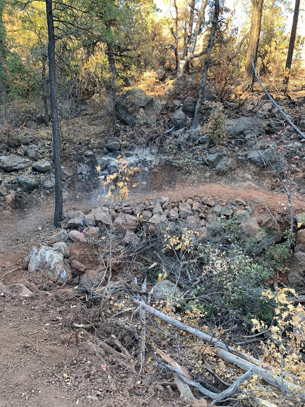 $500,000 plus from AZ State Parks to build more Rim Country trails ...