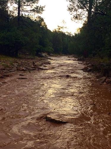 Flash Flood photos Payson, AZ | | paysonroundup.com