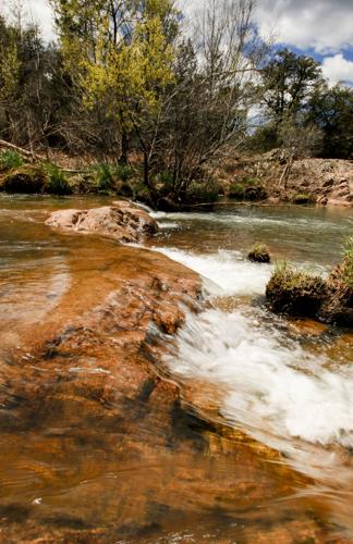 Loki and me and a thousand-year walk | 260 Connection | paysonroundup.com