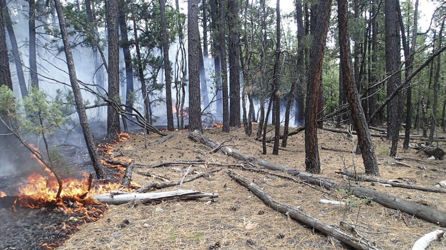 Saving a reservoir | Forest Management Wildfires | paysonroundup.com