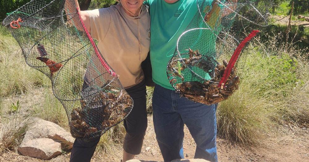 Crawdadding best done while the waters are warm | 260 Connection ...