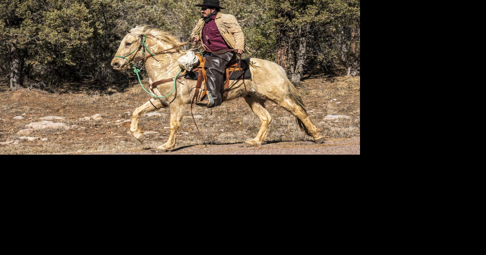 Hashknife Pony Express rides again | Local News | paysonroundup.com