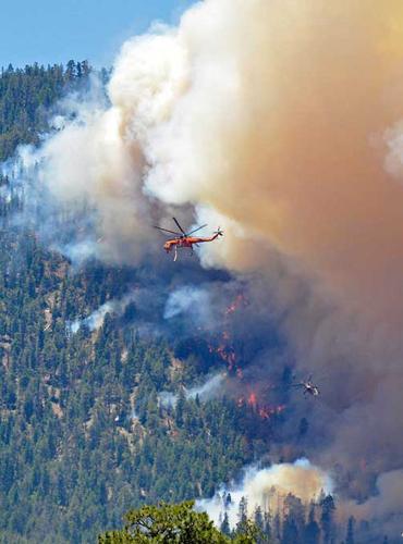 Disaster's aftermath | Forest Management Wildfires | paysonroundup.com