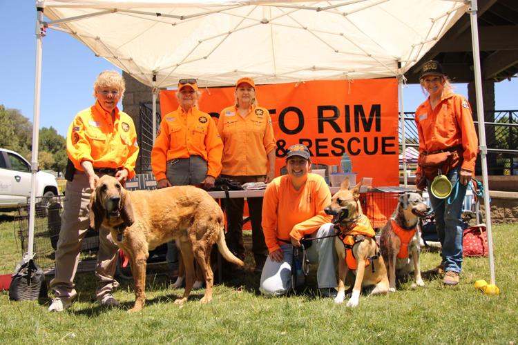 Pups in the Pines gets high praise at Green Valley Park | Events ...