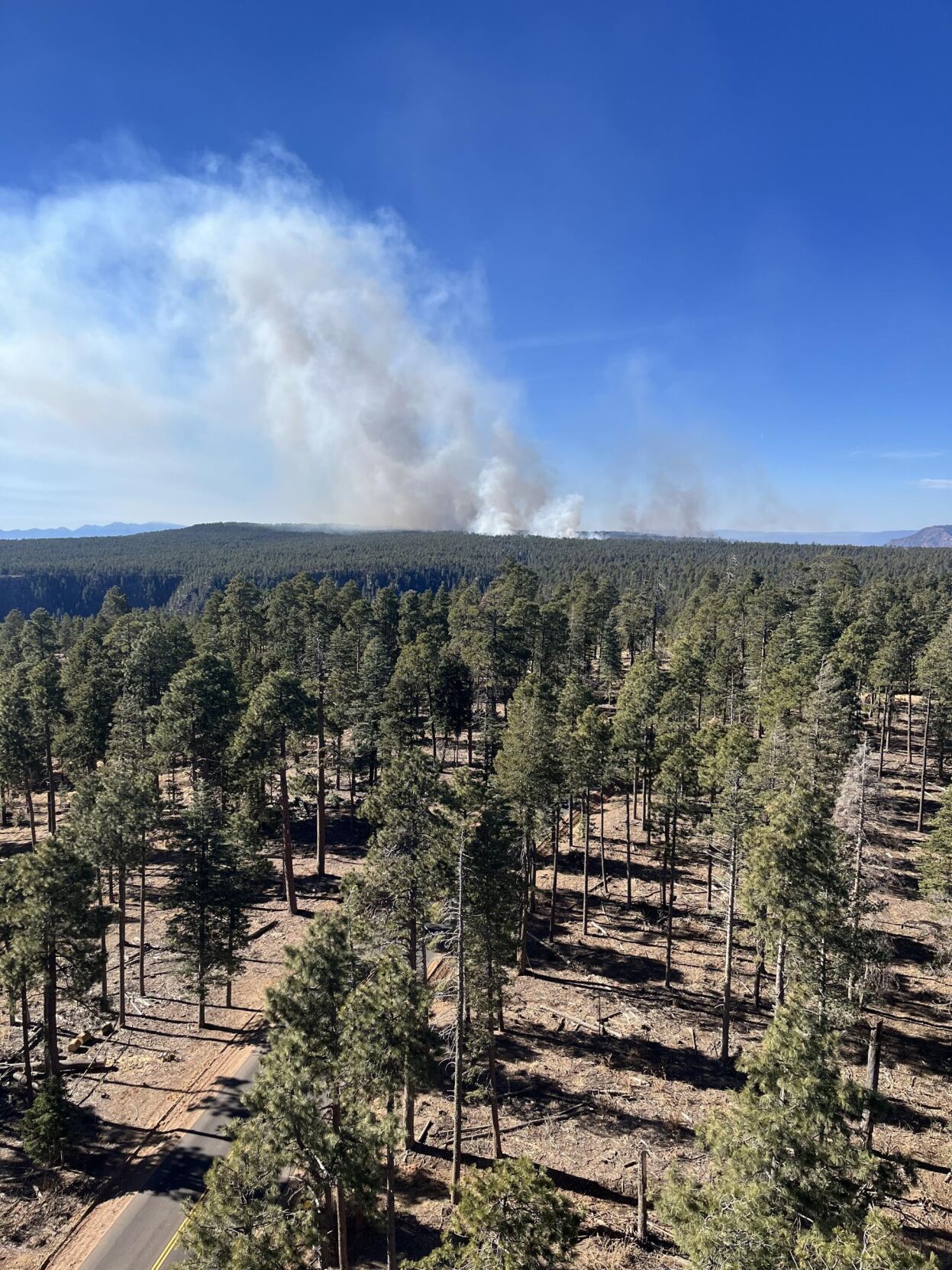 Star Valley prepares for APS power shutoff program | News | paysonroundup.com