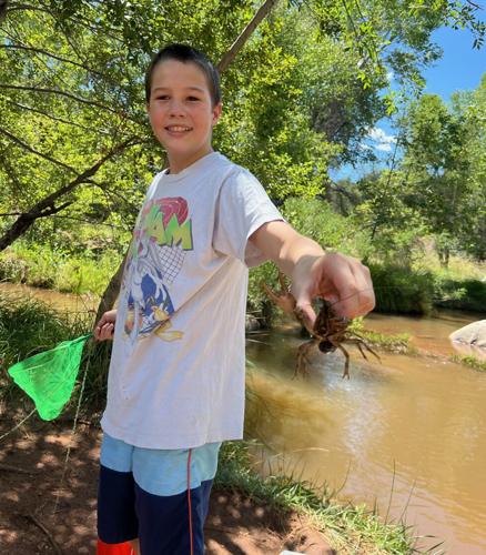 Crawdadding best done while the waters are warm | 260 Connection ...