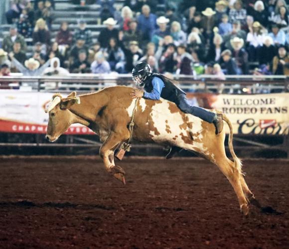 Gila County invests $20,000 to promote Payson rodeos | News ...