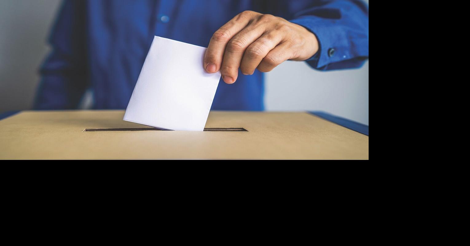 Candidate challenges emergency clause to new primary election date ...