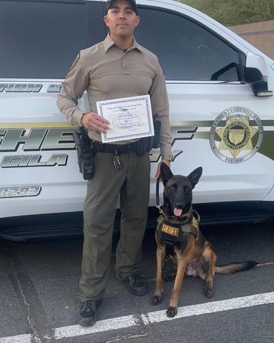 New K9 joins the Gila County Sheriff's Office | Crime Law Enforcement ...