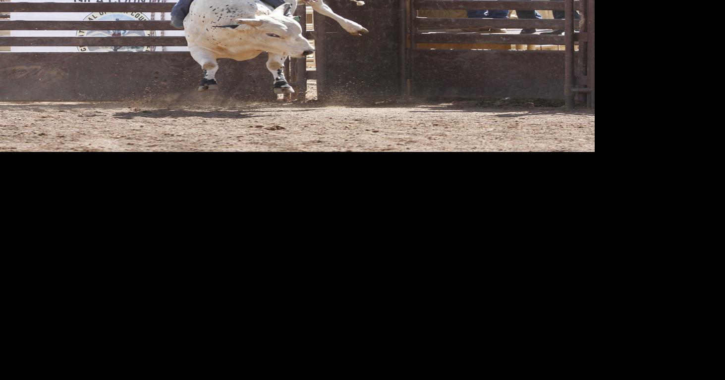 Rim Country competitors among stars of 135th World's Oldest Continuous ...