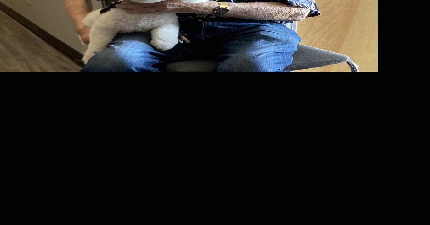 Lost dog finds his way home | Local News | paysonroundup.com