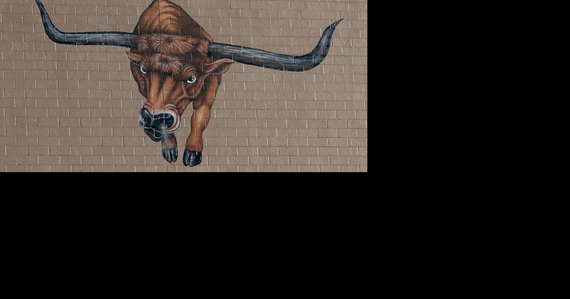 Longhorn logo | | paysonroundup.com