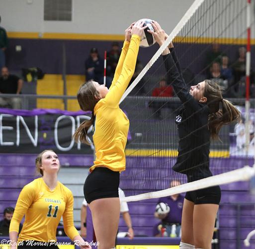 Volleyball vs. Show Low Oct. 27, 2020 | Multimedia | paysonroundup.com