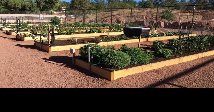 SV Council donates garden plots to help Warming Center | Local News ...
