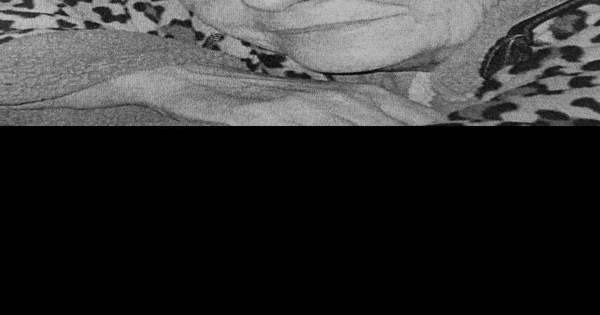 Edna J. Smith (1953-2022) | Obituaries | paysonroundup.com