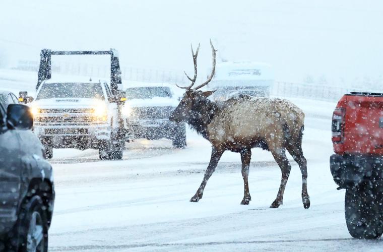 Storms interrupt record-dry winter | News | paysonroundup.com