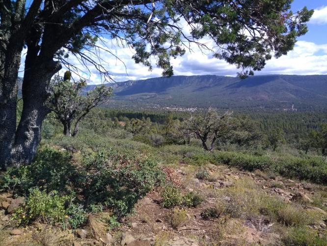 Trails group celebrates another reroute | Local News | paysonroundup.com