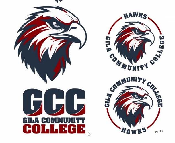 Gila Hawks take wing | News | paysonroundup.com