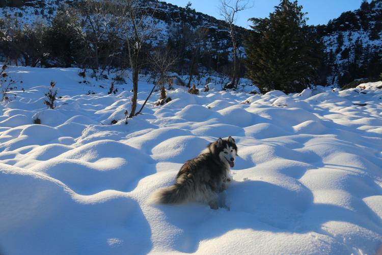 Snowy winter fills reservoirs throughout the state | News ...