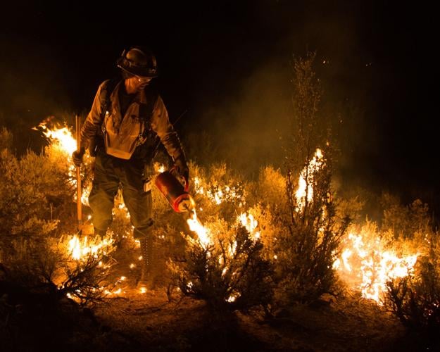 Backburns offer protection for frightened homeowners – now and in the ...