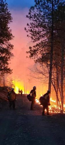 Native American use of fire protected against drought, megafires ...